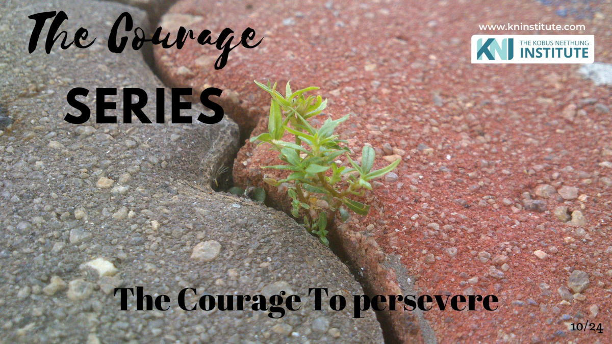 The Courage to Change - The Kobus Neethling Institute